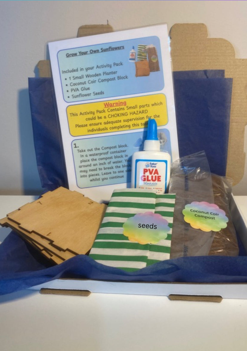 Grow Beans Kit – Cognitive Care Box